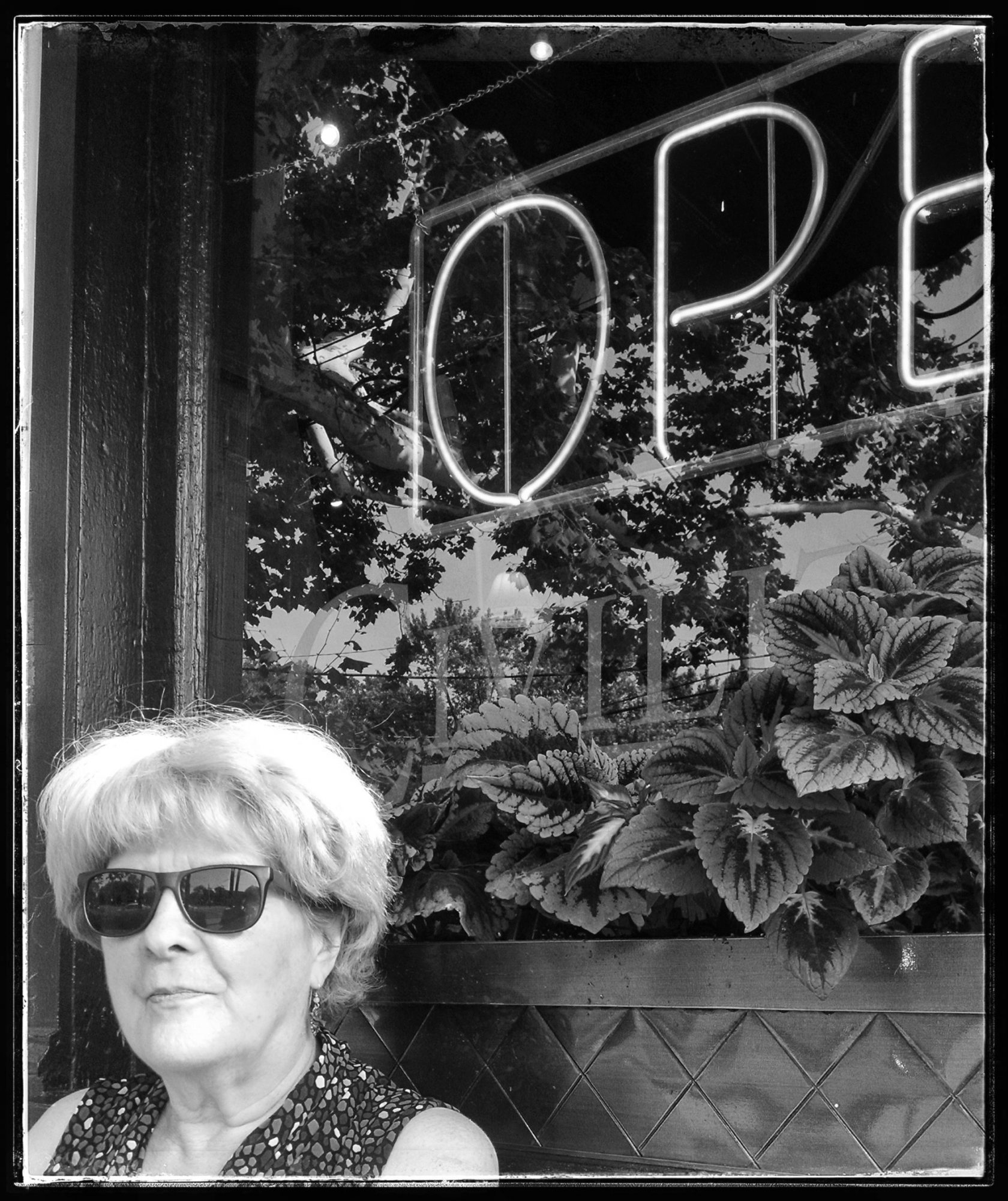 A Conversation with Mary Grimm - Center for Literary Publishing ...